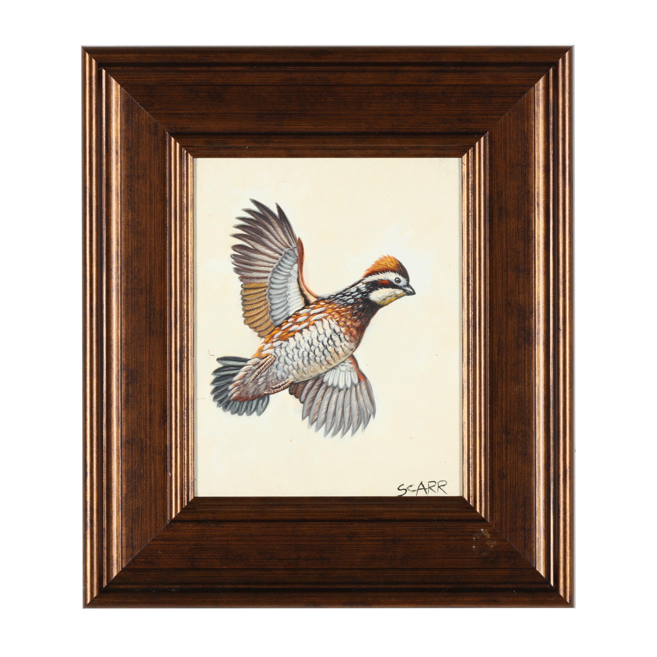 Bobwhite Quail In Flight Lot SHADOW BOX DIORAMA OF QUAIL IN FLIGHT