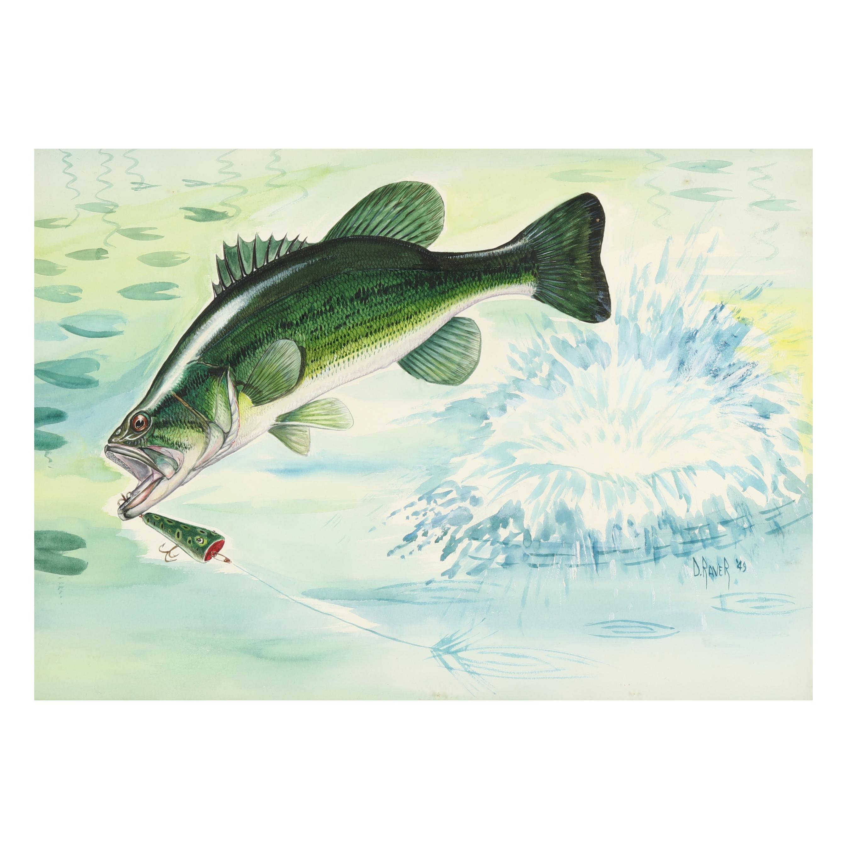 Bass Fish Jumping Drawing